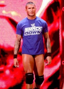 Randy Orton Body Measurements Height Weight Shoe Size Biceps Vital ...