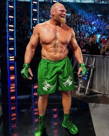 Brock Lesnar Body Measurements Height Weight Shoe Size Biceps Statistics